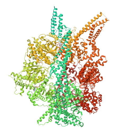 RCSB PDB - 9BMD: Motor domain from full-length human dynein-1 bound to ...