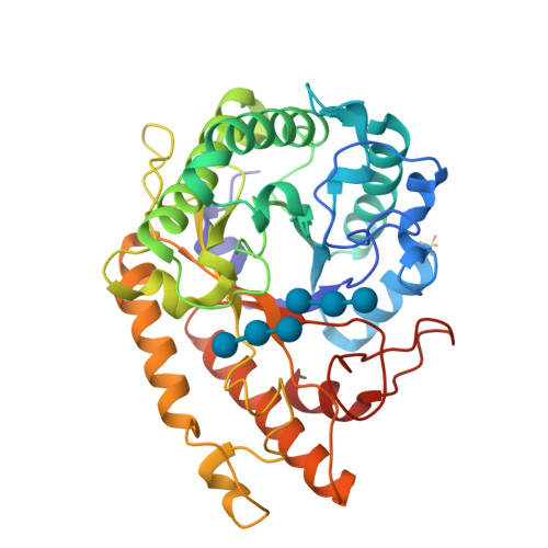 RCSB PDB - 9BMK: GH5_4 endo-beta(1,3/1,4)-glucanase E331A from ...
