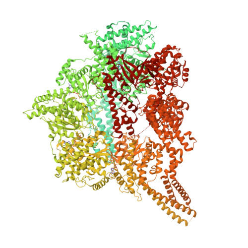 RCSB PDB - 9BMP: State-7 of the motor domain from full-length human ...
