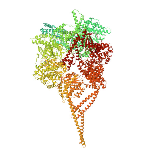 RCSB PDB - 9BMS: State-2 of motor domain from full-length human dynein ...