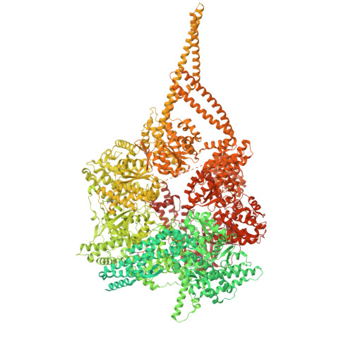 RCSB PDB - 9BMZ: State-2 of motor domain from full-length human dynein ...