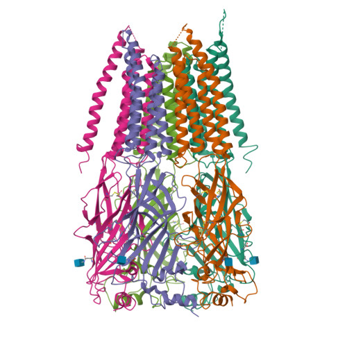 RCSB PDB - 9BOY: Cryo-EM structure of human Glycine Receptor apha3-beta ...