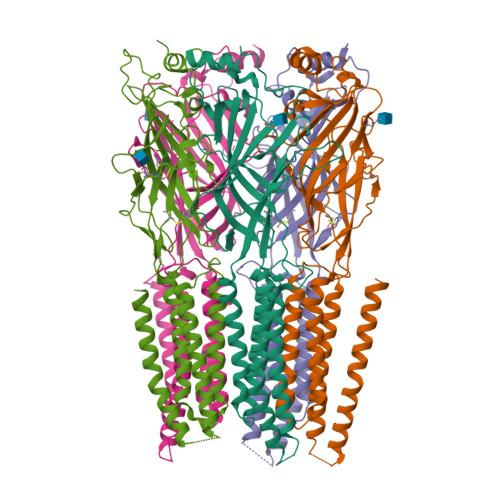 RCSB PDB - 9BP7: Cryo-EM structure of human heteromeric Glycine ...