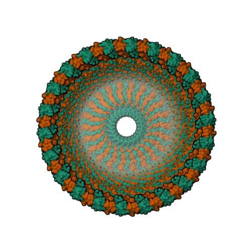 RCSB PDB - 9BQ2: Structure of the flotillin complex in a native ...