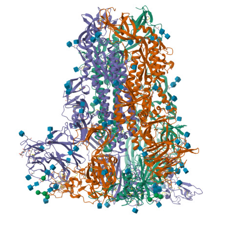 RCSB PDB - 9BSX: Cryo-EM structure of HCoV-HKU1 glycoprotein in complex ...
