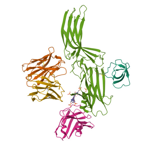 RCSB PDB - 9BT8: Structure of Src in complex with beta-arrestin 1 ...