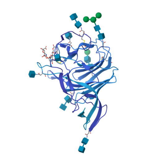 RCSB PDB - 9BTA: Cryo-EM density map of HKU1 spike glycoprotein D1 ...