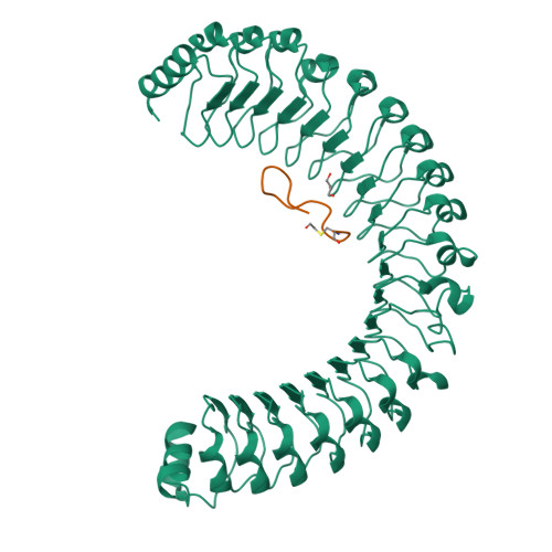 RCSB PDB - 9BTN: Structure of human SHOC2 in complex with a cyclic peptide