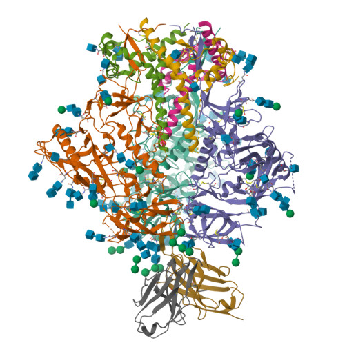 RCSB PDB - 9BTV: Cryo-EM structure of rhesus antibody T646-a.01 in ...