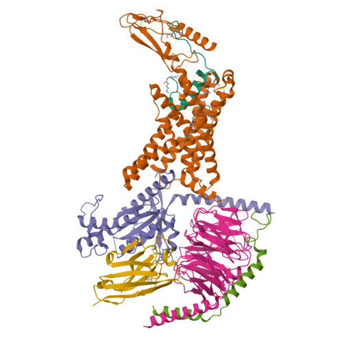 RCSB PDB - 9BUB: Human calcitonin Receptor in complex with Gs and ...