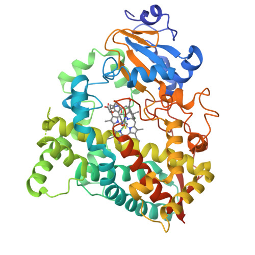RCSB PDB - 9BV7: Crystal structure of human CYP3A4 in complex with ...