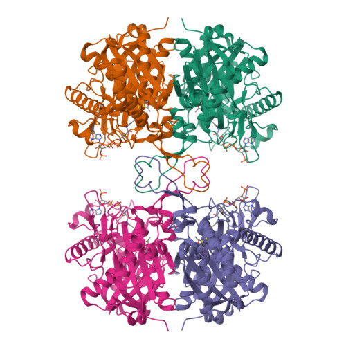 RCSB PDB - 9BWO: Crystal structure of polyketoacyl-CoA thiolase from ...