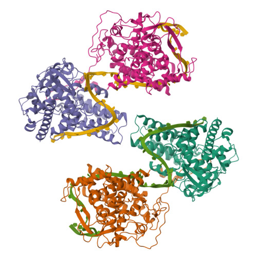 RCSB PDB - 9BWZ: Structure of influenza A RNP, 4xNP local ...