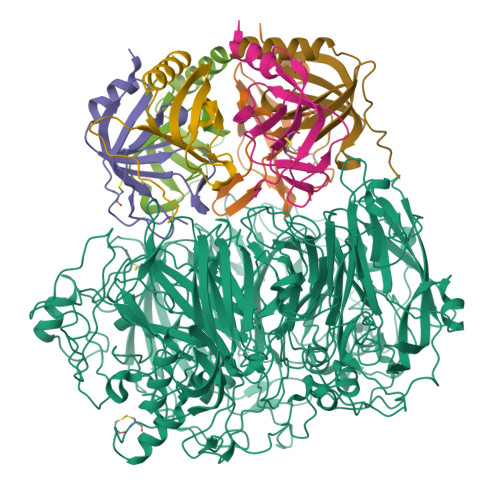 RCSB PDB - 9BXA: Structure of Mnx H340A complex from Bacillus sp. PL-12