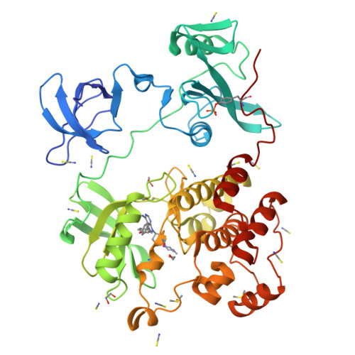 RCSB PDB - 9BYJ: Crystal Structure of Hck in complex with the Src ...