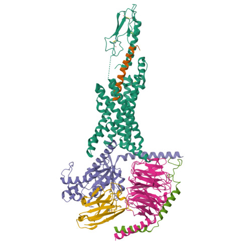 RCSB PDB - 9BYO: Cryo-EM structure of glucagon-like peptide-1 receptor ...