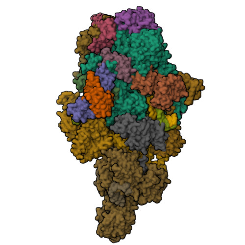 RCSB PDB - 9BZ0: Structure of an STK19-containing TC-NER complex