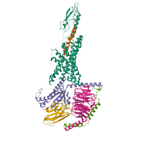 RCSB PDB - 9C0K: Cryo-EM structure of glucagon-like peptide-1 receptor ...