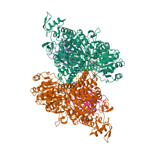 RCSB PDB - 9C0Q: Carbon monoxide dehydrogenase (CODH) from ...