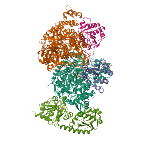 RCSB PDB - 9C0S: Carbon monoxide dehydrogenase/acetyl-CoA synthase ...
