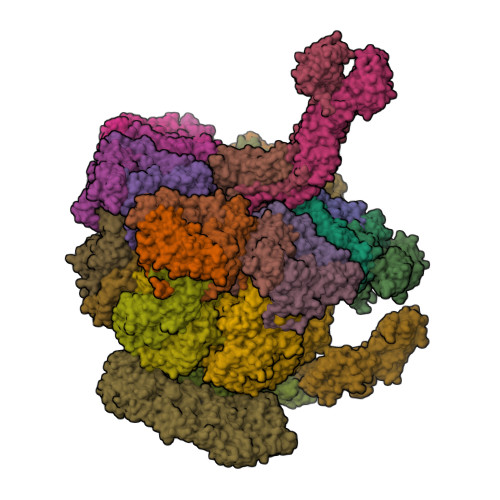 RCSB PDB - 9C1H: Rhesus rotavirus (upright structure at 2.88 Angstrom ...