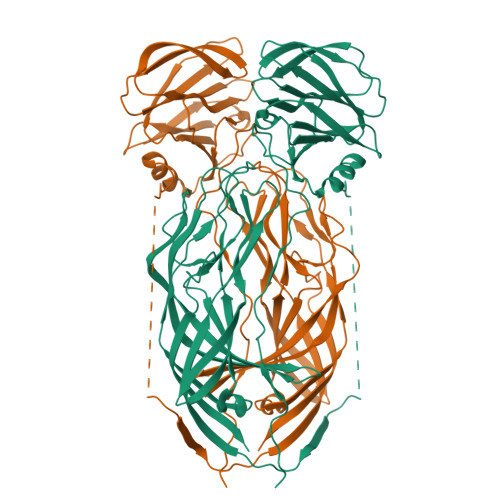 RCSB PDB - 9C1I: Rhesus rotavirus (VP5*/VP8* structure at 3.52 Angstrom ...