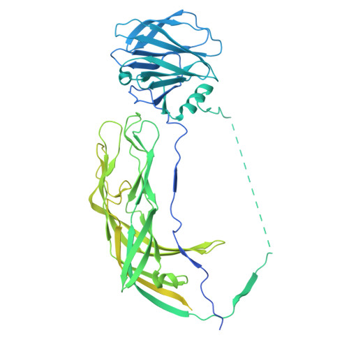 RCSB PDB - 9C1I: Rhesus rotavirus (VP5*/VP8* structure at 3.52 Angstrom ...