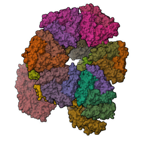 RCSB PDB - 9C1K: Rhesus rotavirus (empty structure at 2.68 Angstrom ...