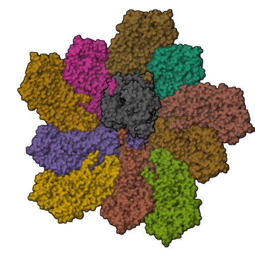 RCSB PDB - 9C1L: Rhesus rotavirus (VP1 structure at 2.65 Angstrom ...