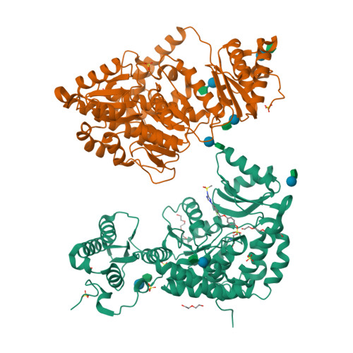 RCSB PDB - 9C1V: M. tuberculosis PKS13 acyltransferase (AT) domain in ...