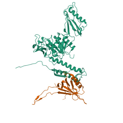 RCSB PDB - 9C3B: Structure of the Shigella flexneri bacteriophage Sf14 ...