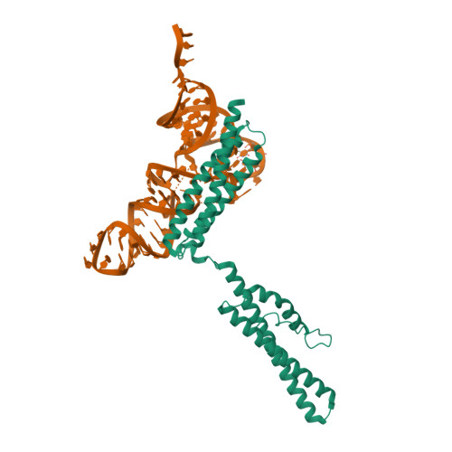 RCSB PDB - 9C3I: Rebuilt CNOT3/tRNA-LEU structure
