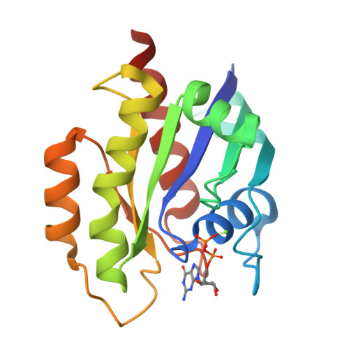 RCSB PDB - 9C40: Crystal structure of GDP-bound KRAS G12D/V103Y ...