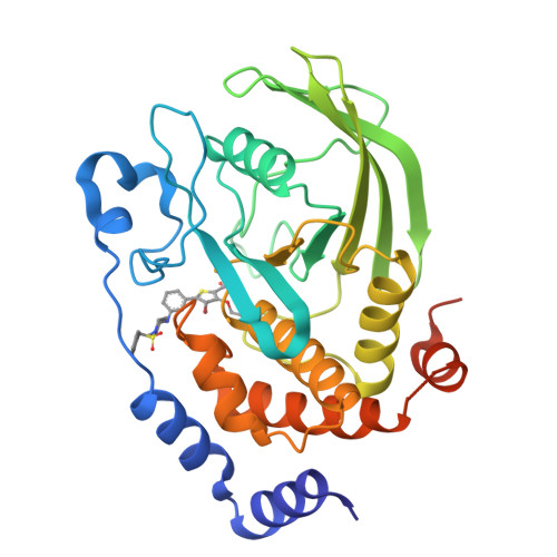 RCSB PDB - 9C55: Crystal structure of human PTPN2 in complex with ...