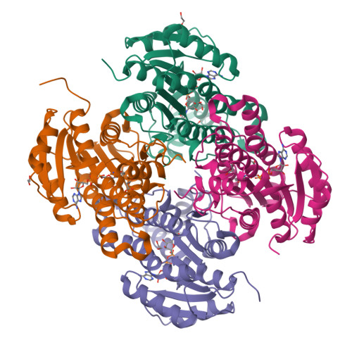 RCSB PDB - 9C5M: Trypanosoma cruzi R19T/K20S/C64Y mutant beta-3-HBDH ...