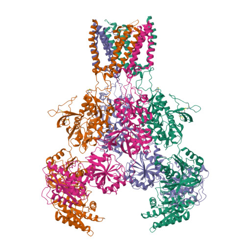 RCSB PDB - 9C7P: Diheteromeric GluN1/GluN2A (delM653) in digitonin ...