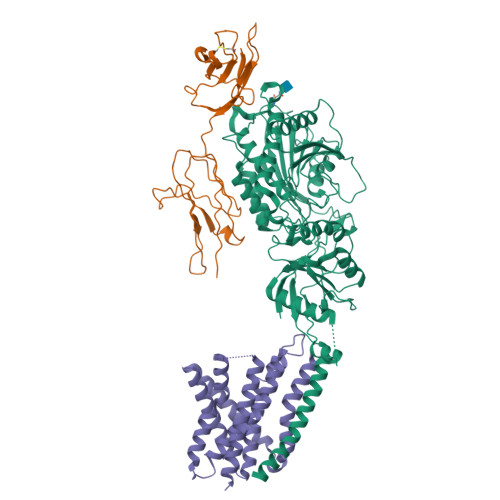 RCSB PDB - 9C7U: Structure of the human truncated BOS complex in GDN
