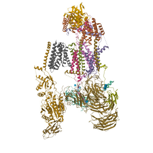 RCSB PDB - 9C7V: Structure of the human BOS:human EMC complex in GDN