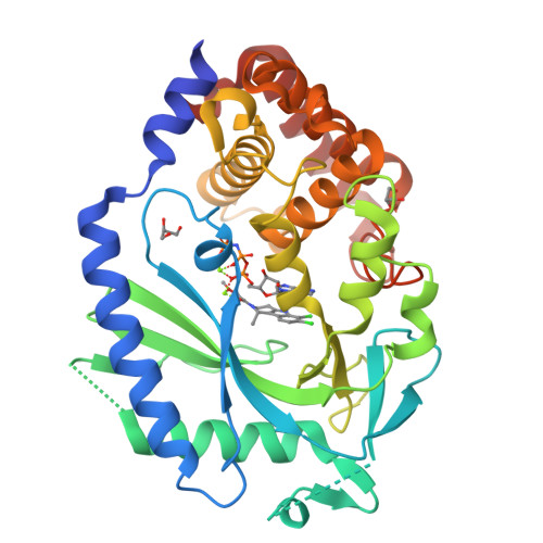 RCSB PDB - 9C8N: Crystal Structure of human cyclic GMP-AMP synthase in ...