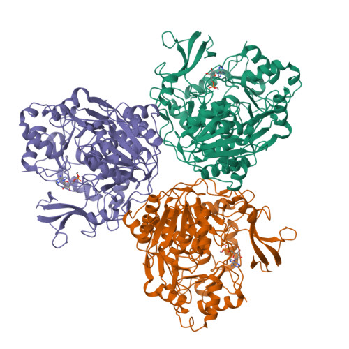 RCSB PDB - 9C8S: CryoEM structure of Cryptococcus neoformans H99 Acetyl ...