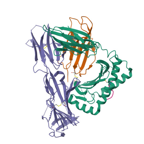 RCSB PDB - 9C96: Cryo-EM structure of TAP binding protein related ...