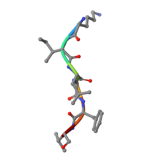 RCSB PDB - 9C96: Cryo-EM structure of TAP binding protein related ...