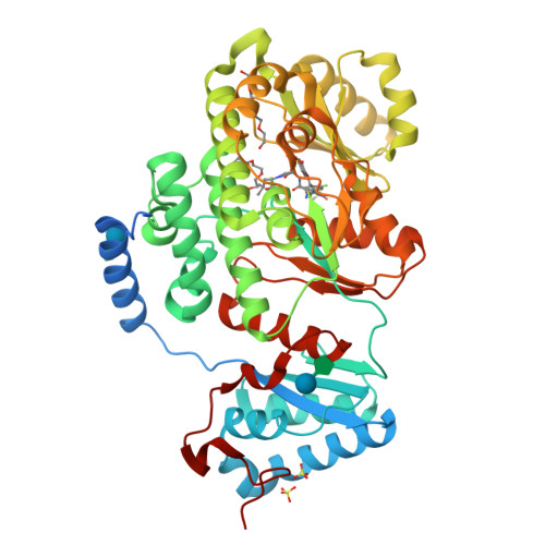RCSB PDB - 9C9O: M. tuberculosis PKS13 acyltransferase (AT) domain in ...