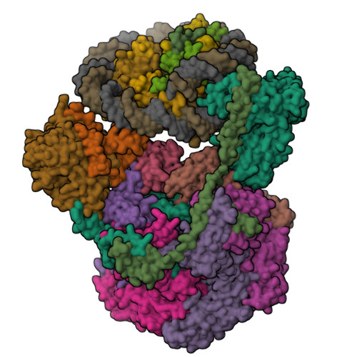RCSB PDB - 9CA7: Cryo-EM structure of human SRCAP-nucleosome complex in ...