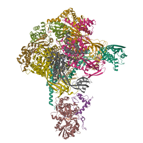 RCSB PDB - 9CA9: Cryo-EM structure of the human SRCAP complex in the ...
