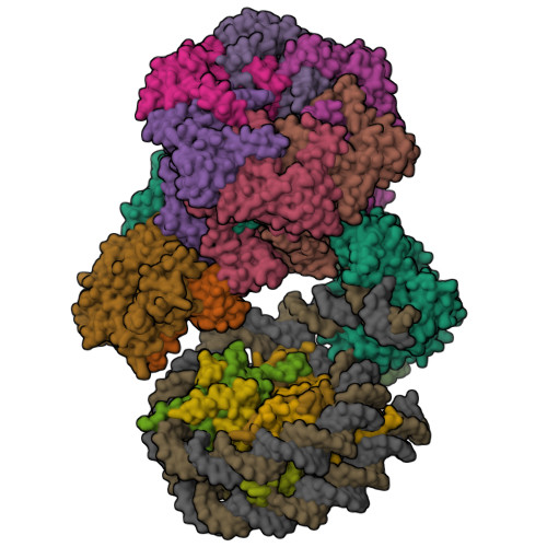 RCSB PDB - 9CAB: Cryo-EM structure of human SRCAP-nucleosome complex in ...