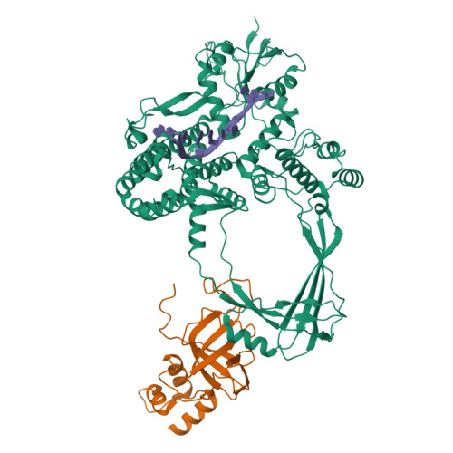 RCSB PDB - 9CAJ: Human TOP3B-TDRD3 core complex in pre-cleavage state ...