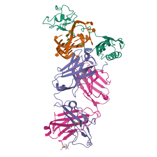 RCSB PDB - 9CB5: Crystal structure of nucleolin in complex with MYC ...