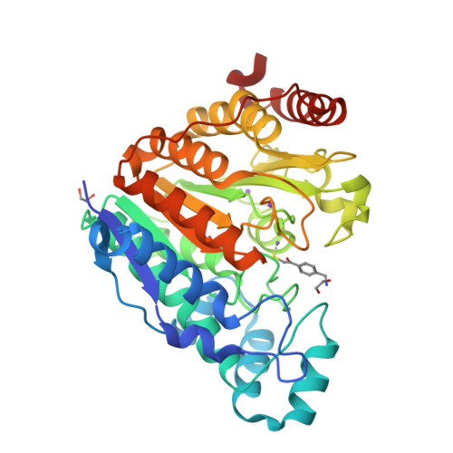 RCSB PDB - 9CBK: Crystal Structure of Danio rerio Histone Deacetylase 6 ...