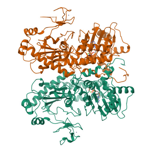 RCSB PDB - 9CDI: MORC2 ATPase structure